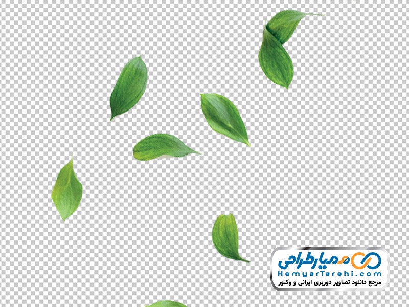 تصویر برگ درخت 09030899 همیار طراحی
